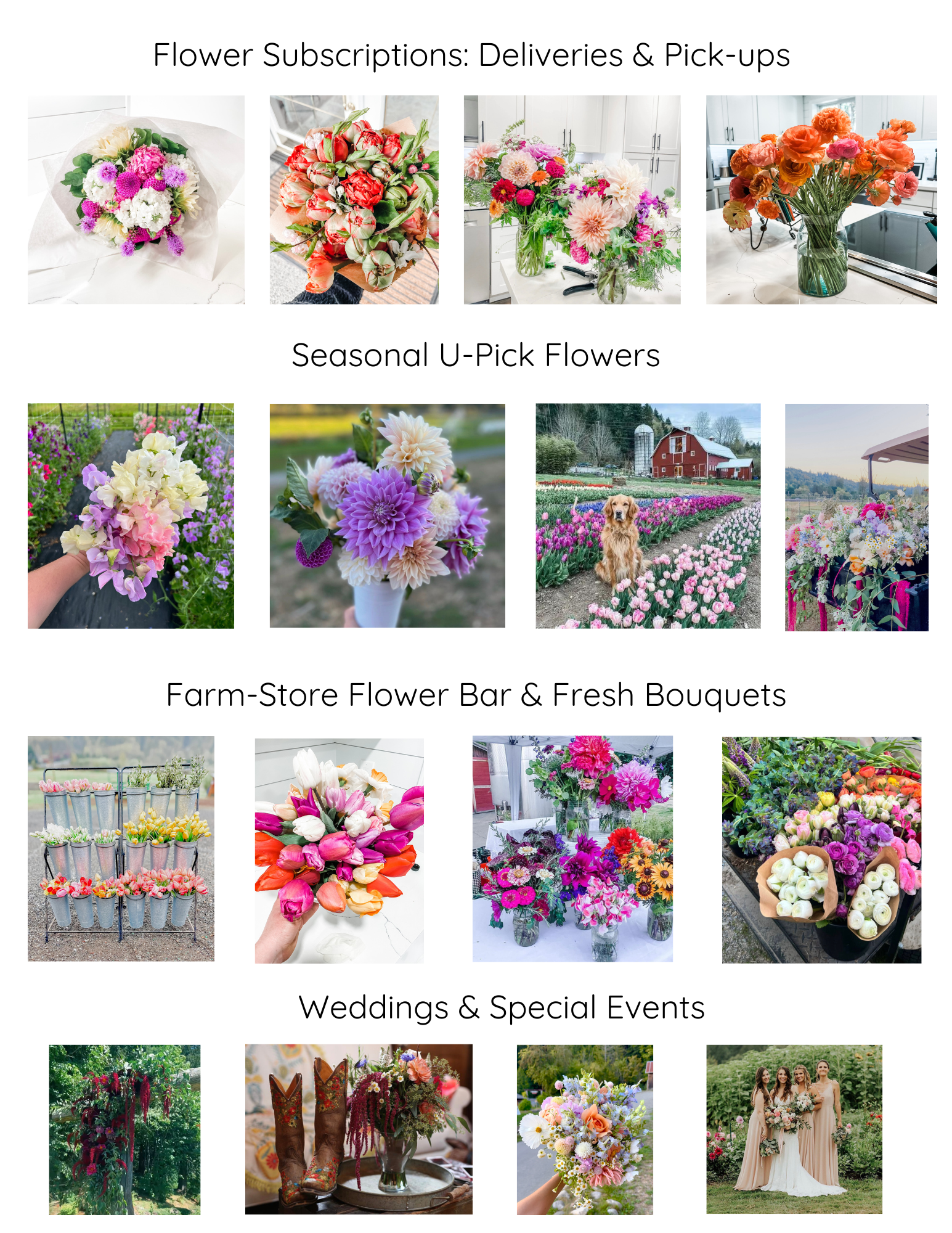 Farm Fresh Flower Offerings – The Red Barn Farm